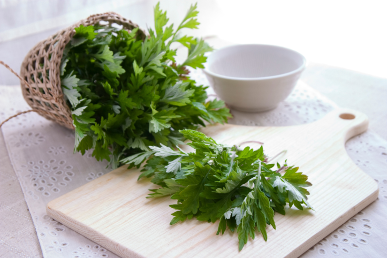 7 najlepszych ziół, które zabijają pasożyty ludzkie - lista ziół