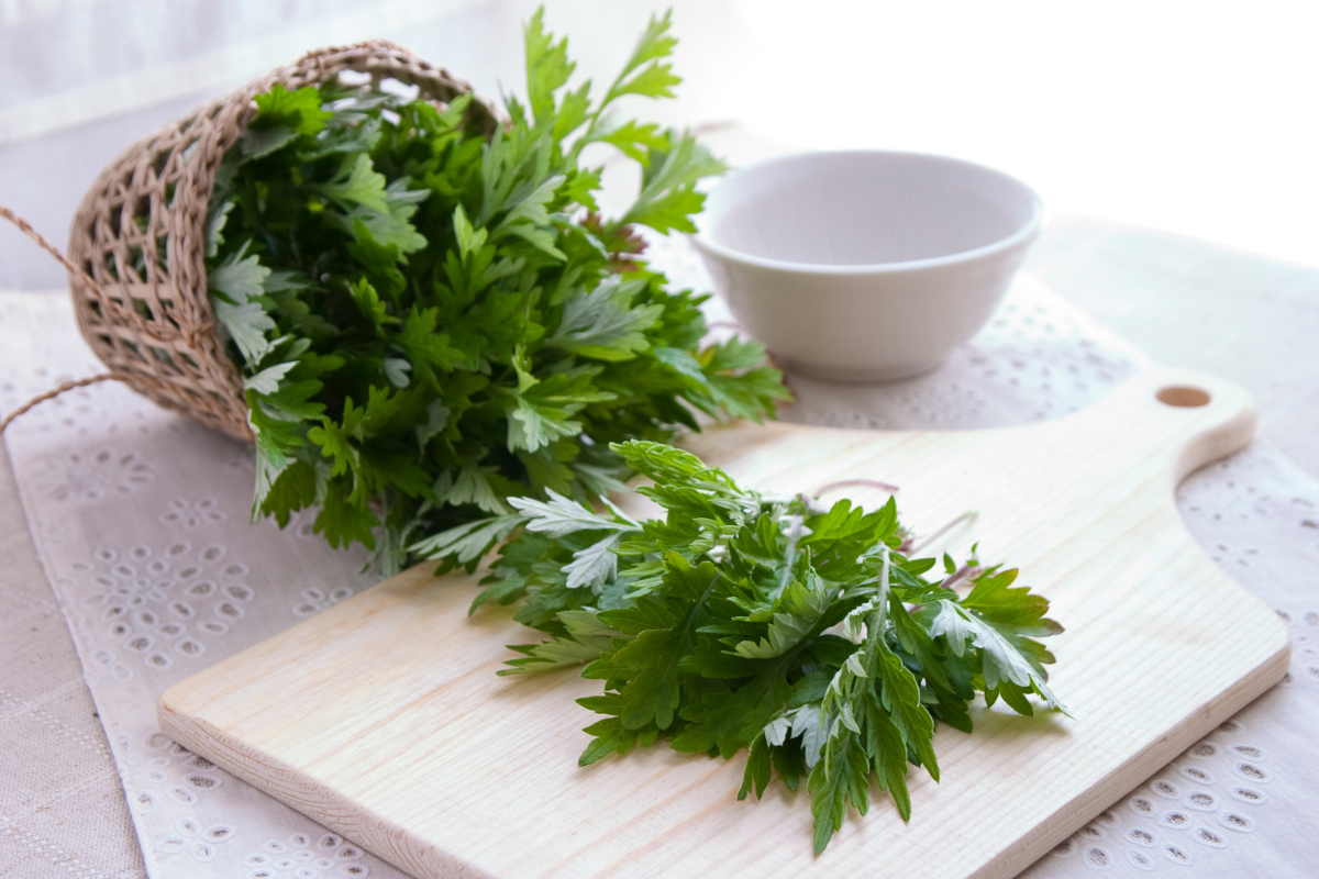 7 najlepszych ziół, które zabijają pasożyty ludzkie - lista ziół